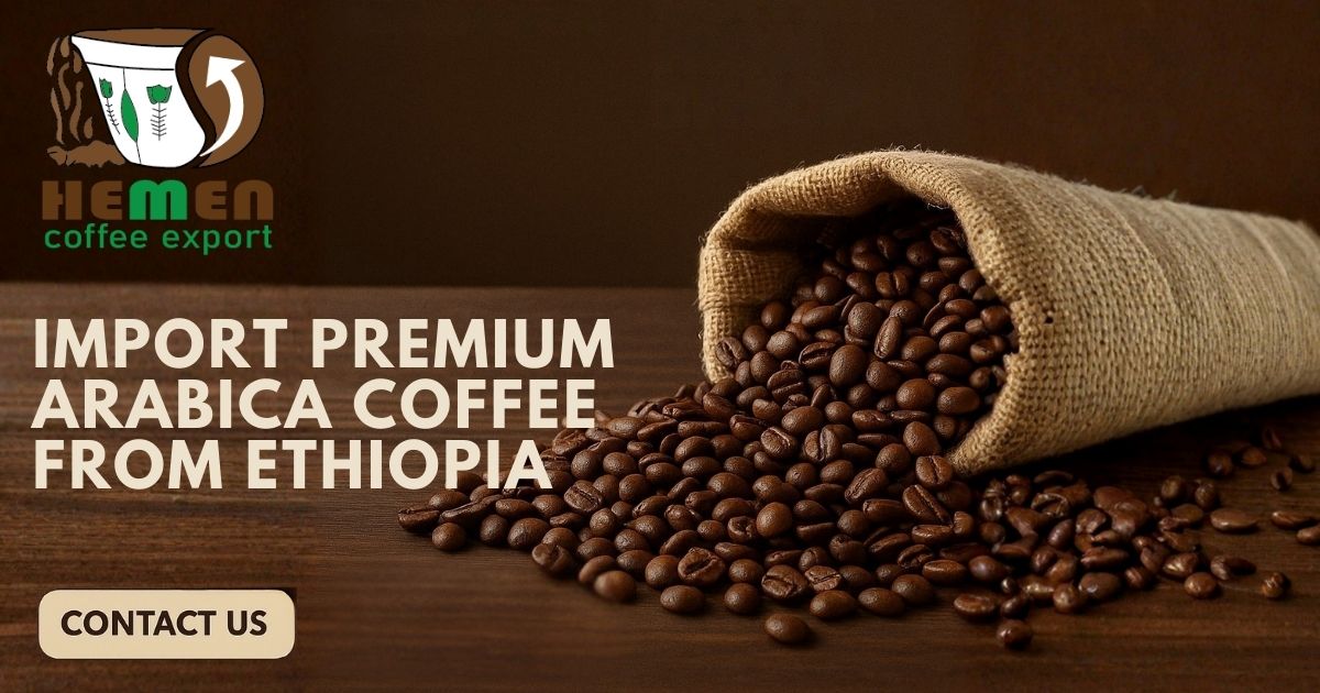 Hemen Coffee | Ethiopian Coffee Exporter (Sidama, Guji & Yirgacheffe)